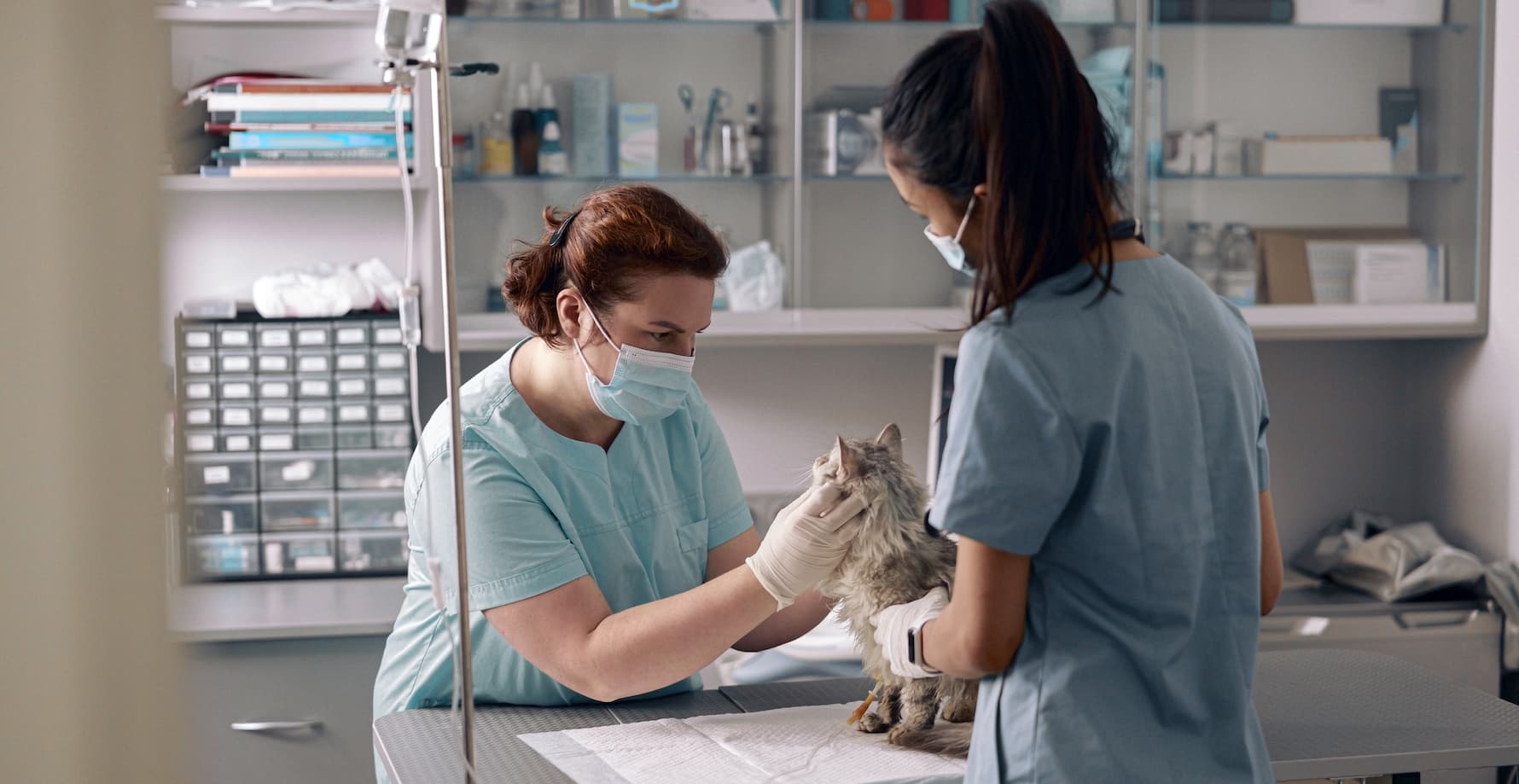 Veterinary Practice Premises - The Veterinary Council of Ireland